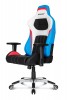 AKRACING Premium Gaming stol Style edt.... - Sestavi.si